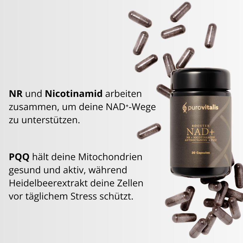 Herbal dietary supplements from Nutramedix – NutraMedix Deutschland GmbH